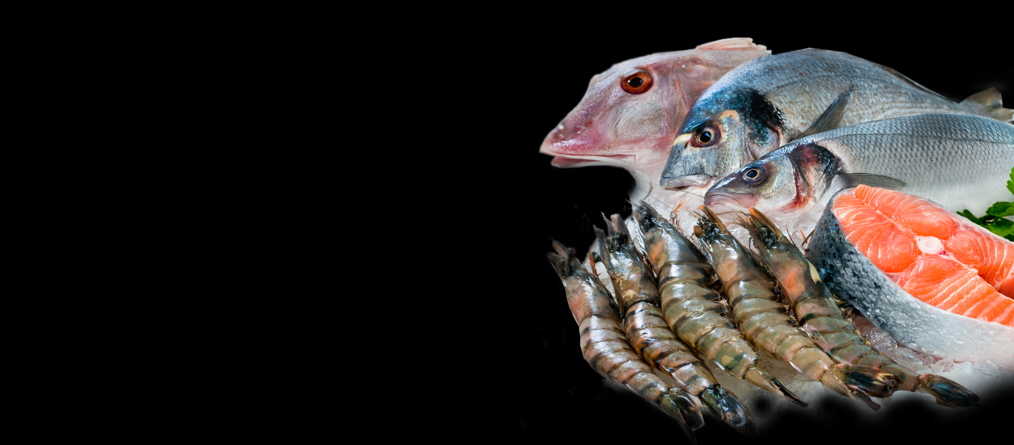 Scottish Fish Archives - Scottish Food