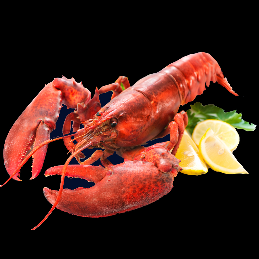 Shellfish delivered by Scottish Food